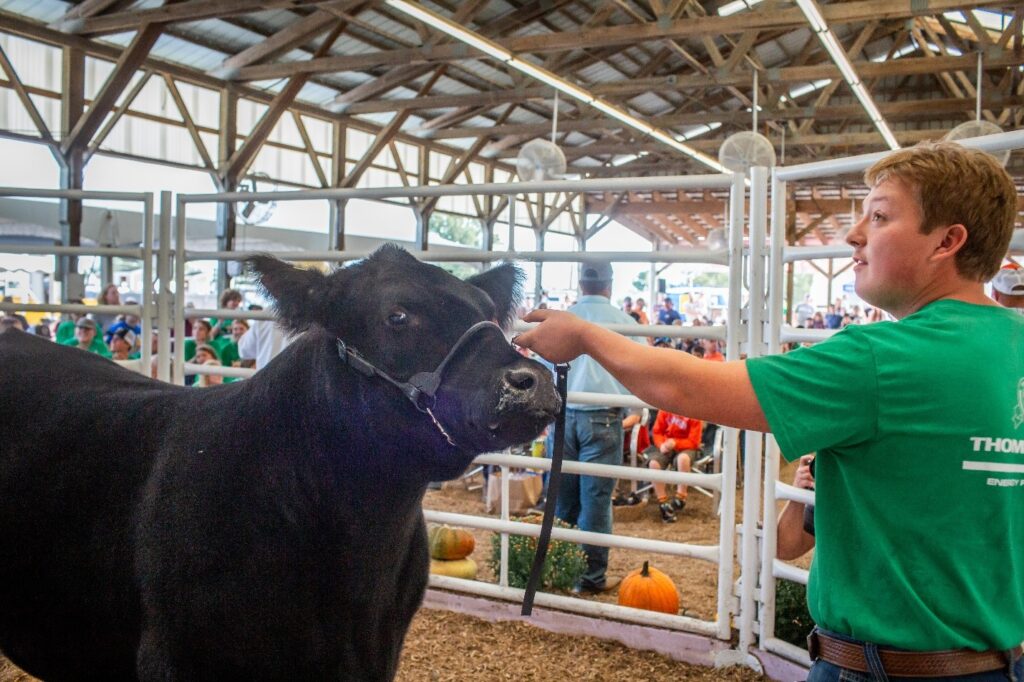 Looking Back on The Great Frederick Fair - Homegrown Frederick