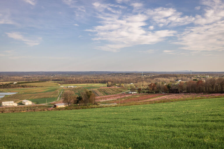 Historical and Impactful: Frederick County Office of Agriculture ...