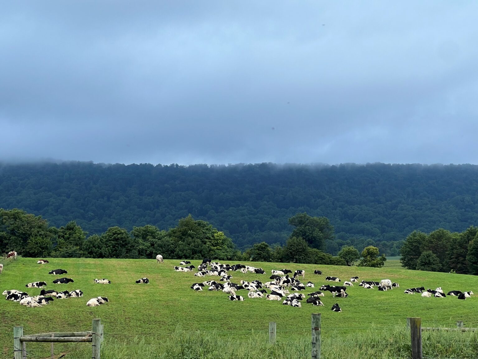 2024 Frederick County Farm Family of the Year: Potomac View Farm ...